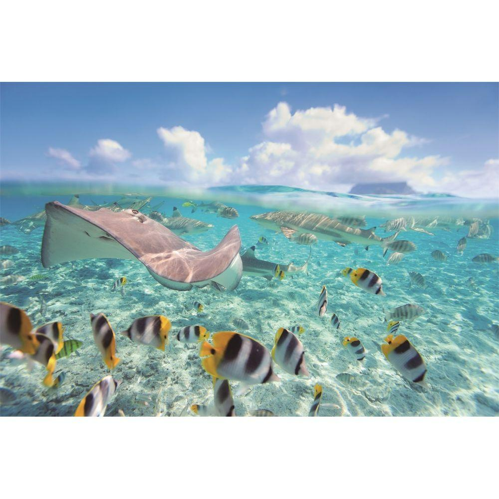 Marine Animal Puzzles – Just Jigsaws