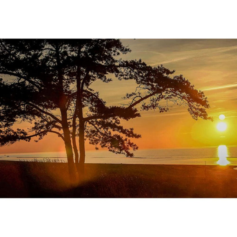 Buy 1000pcs Jigsaw Puzzle A5000 | Justjigsaws – Just Jigsaws