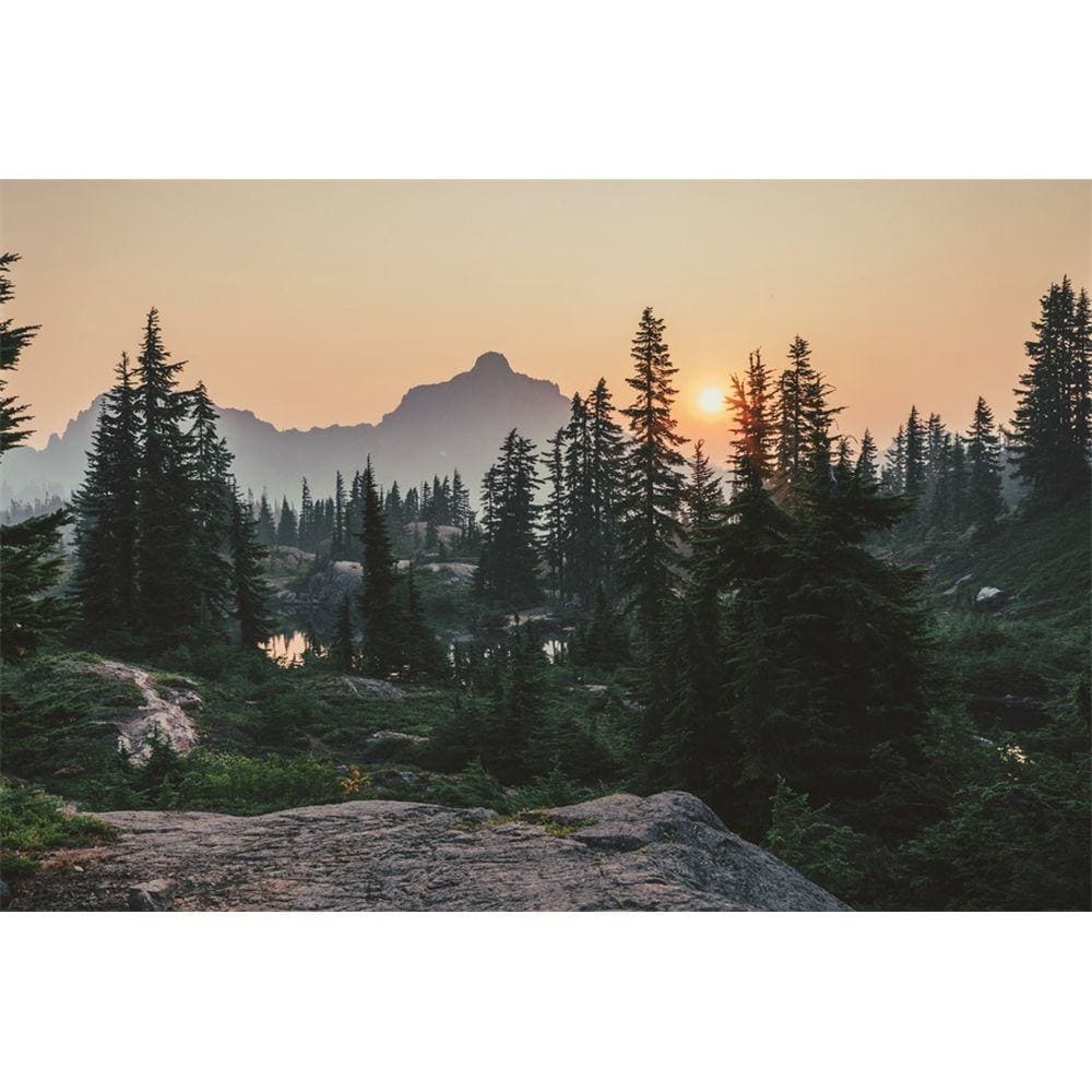 Buy 1000pcs Jigsaw Puzzle A725 | Justjigsaws – Just Jigsaws